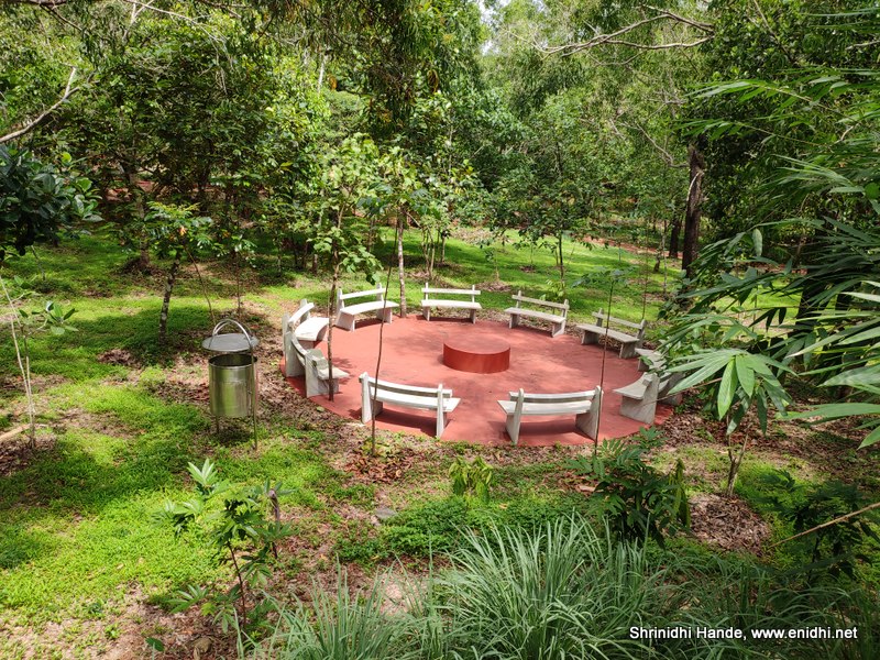 Salumarada Thimmakka Tree Park near Manipal: Photos and complete info ...