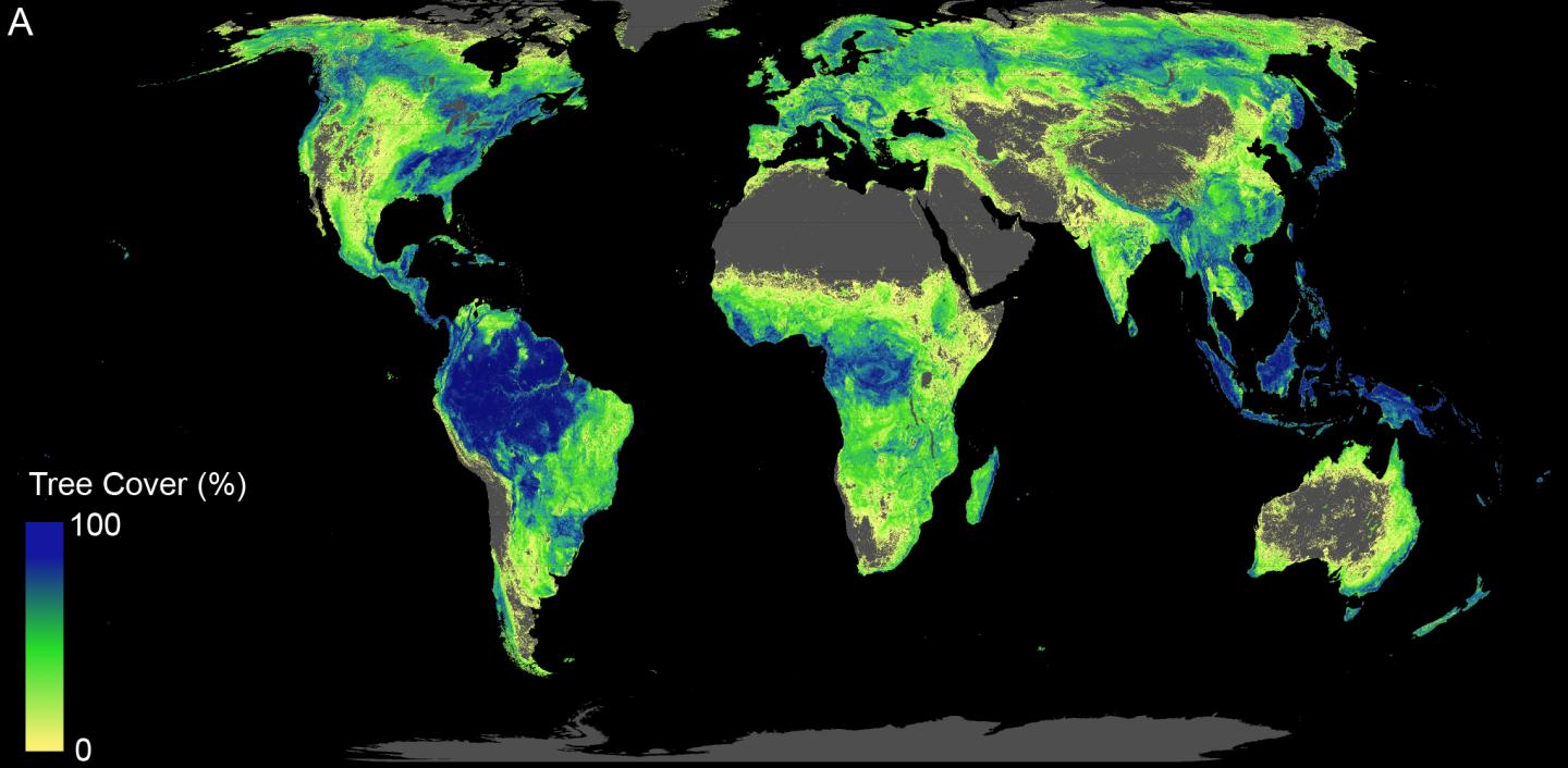 XTerraSpace: The global tree restoration potential