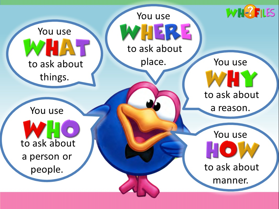 Wh Questions wh-questions