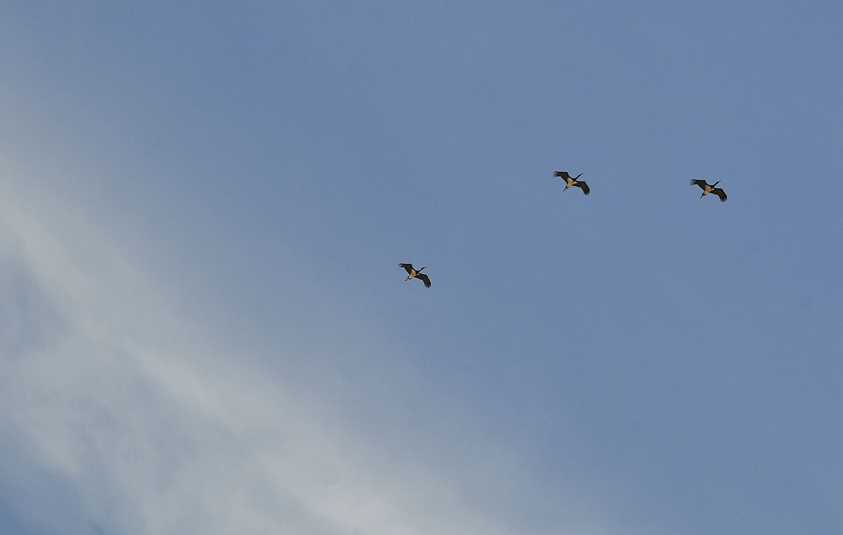 Haanings fotoblog: Feltarbejde i Egypten