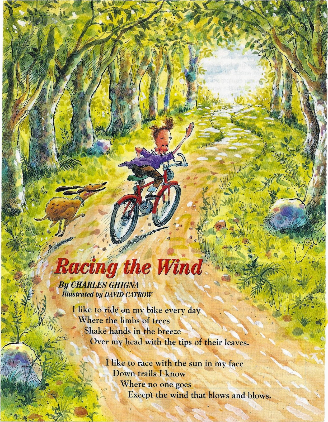 Father Goose Books: Racing the Wind