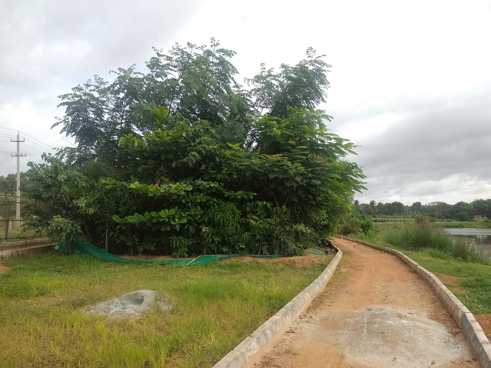 Kannamangala lake rejuvenated through Citizen-driven Participatory ...