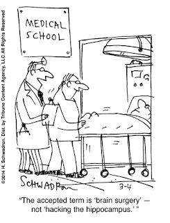 Bilbo's Random Thought Collection: Cartoon Saturday