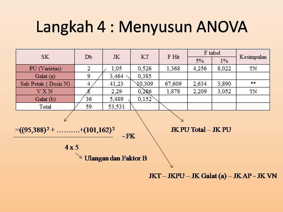 RPT dalam RAL dan RAK (2 Pertemuan)