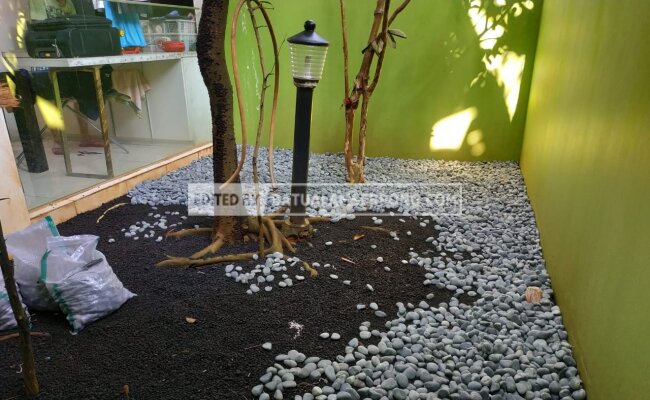 Ini Dia Fungsi Ijuk Aren Yang Perlu Kamu Tahu - JUAL BATU ALAM ... Ini Dia Fungsi Ijuk Aren Yang Perlu Kamu Tahu - JUAL BATU ALAM ...
