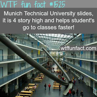 Brianna: On A Budget: "WTF" Fun Facts!