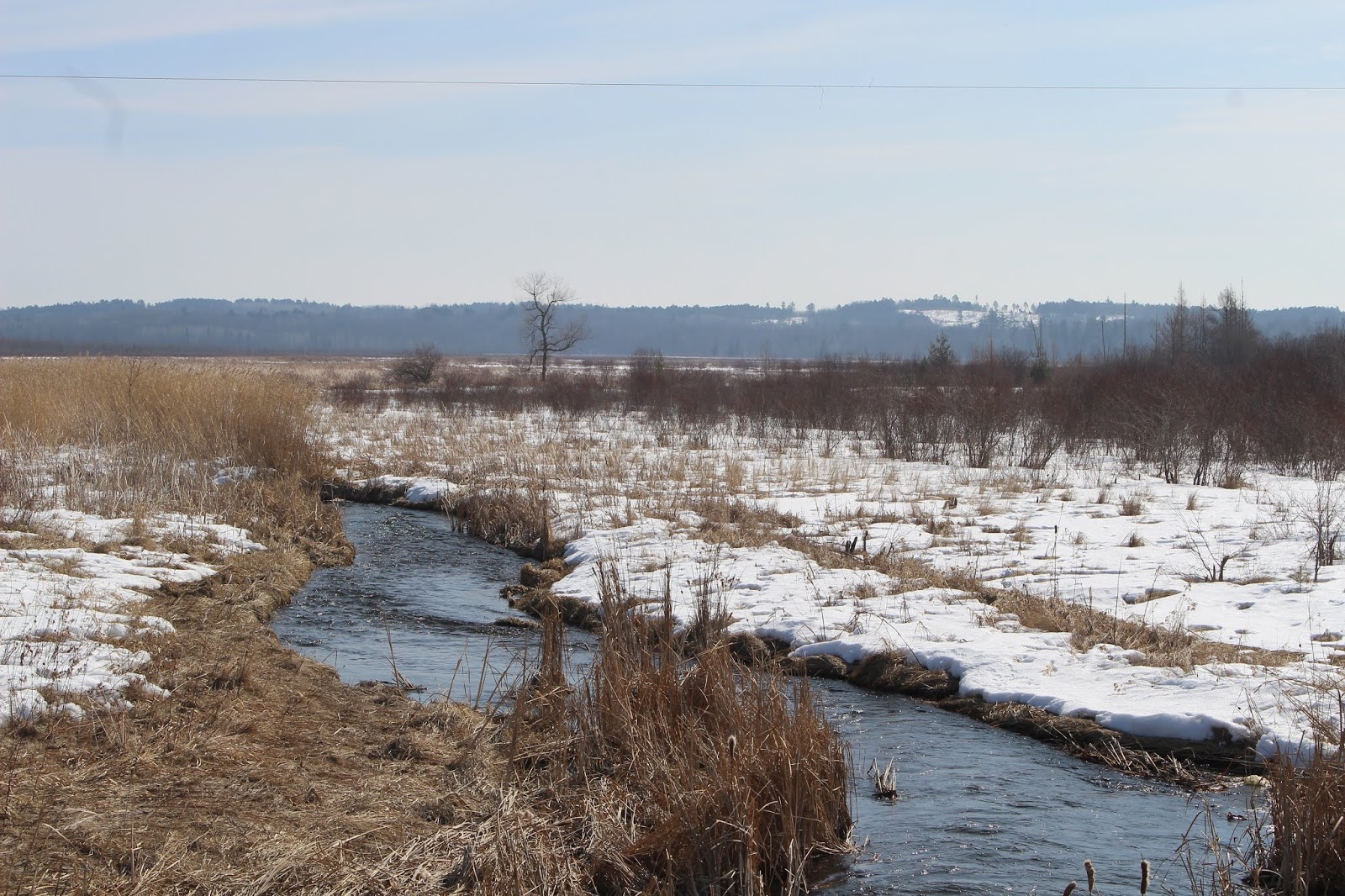 Far Side of Fifty: Shell Lake and River
