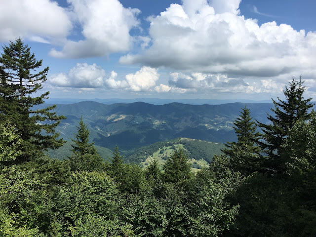 Spruce Knob, West Virginia