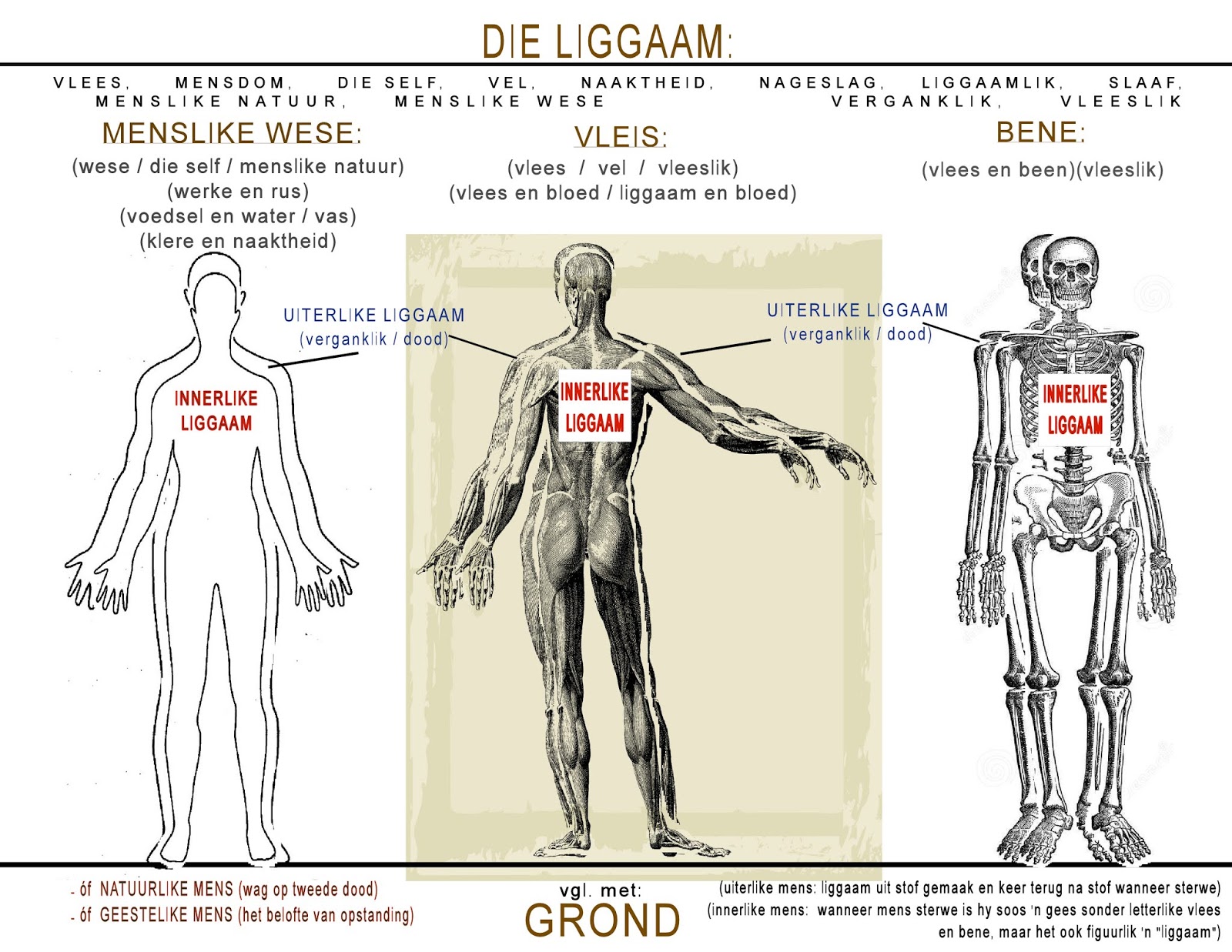 WareChristene Dagstukkies: Liggaam, siel en gees