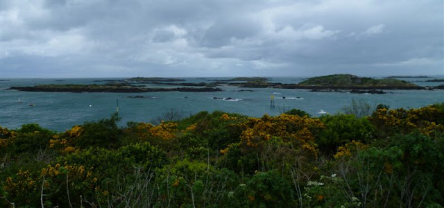 Guernsey Gulls: A Quick Trip to the French Channel Islands – Chausey!