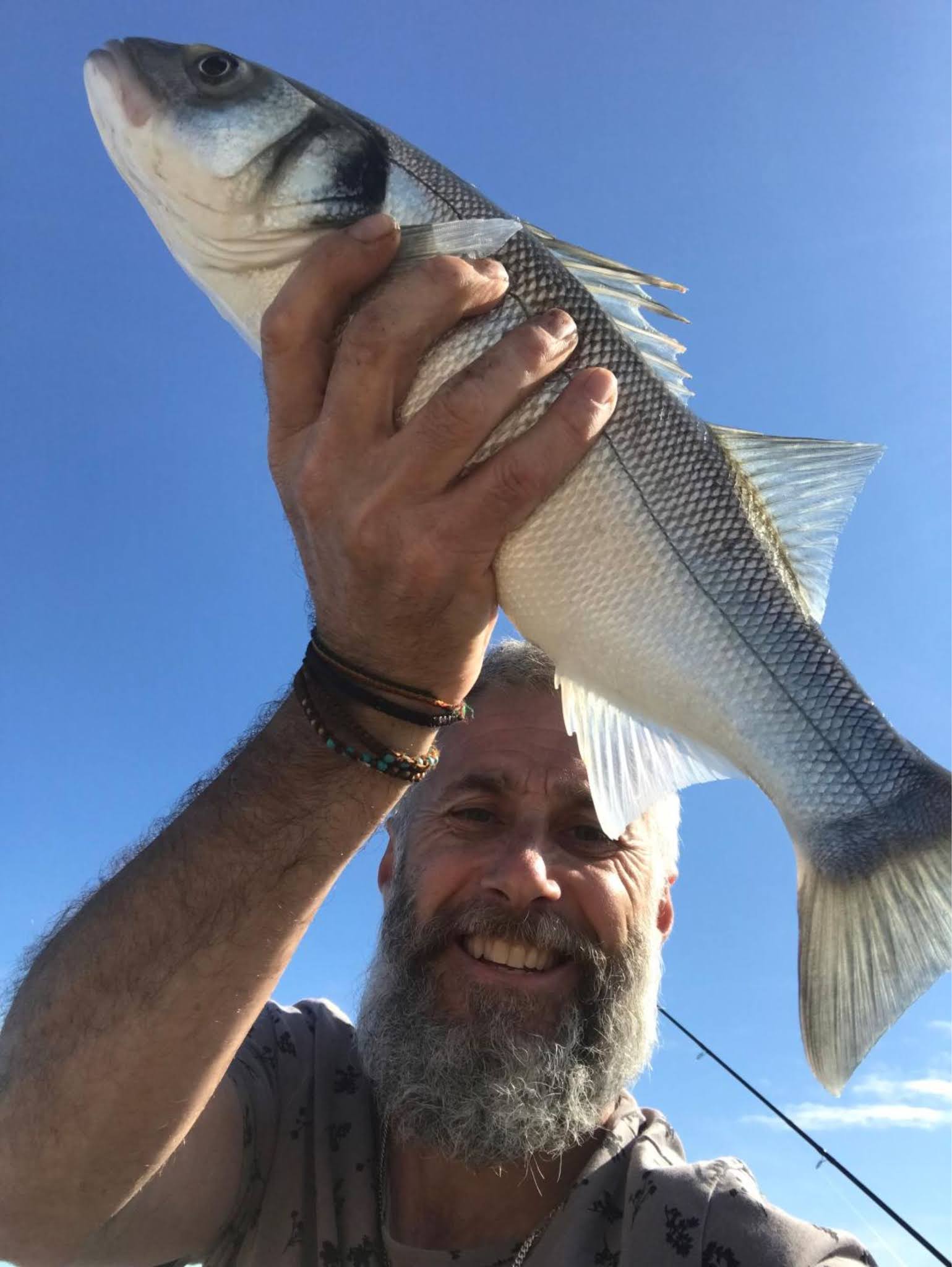 Seagull Fishing Tackle Sea Fishing at Dungeness