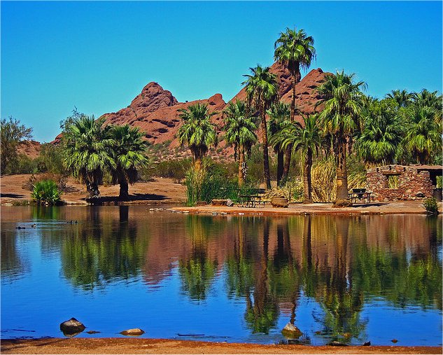 L Oasis