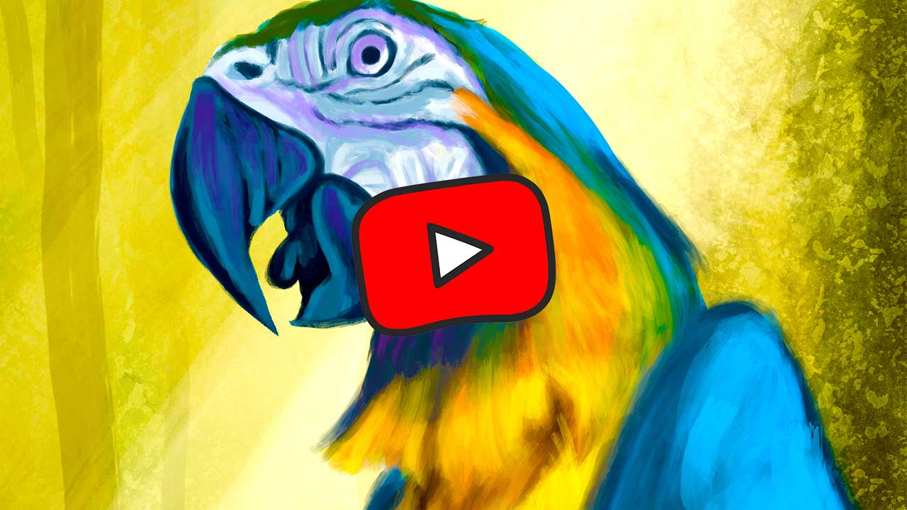 How to Draw a Macaw | Easy Step-by-Step Art Activity & Video Tutorial ...