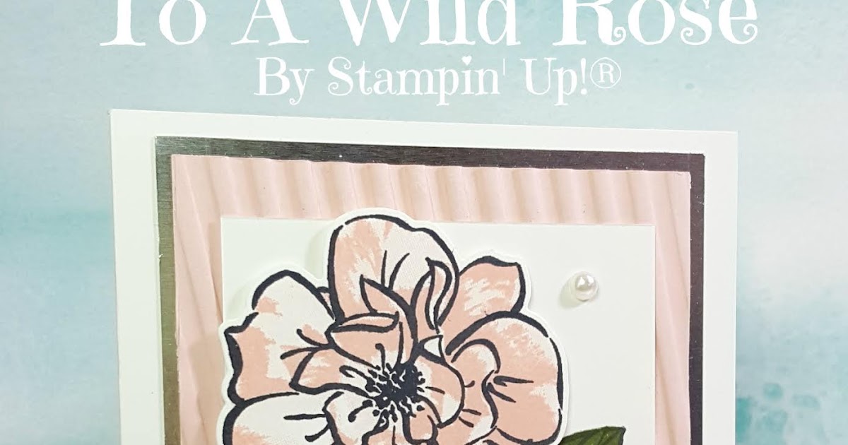 A Farewell Tour of the 2017-2019 In Colors: Powder Pink To A Wild Rose ...