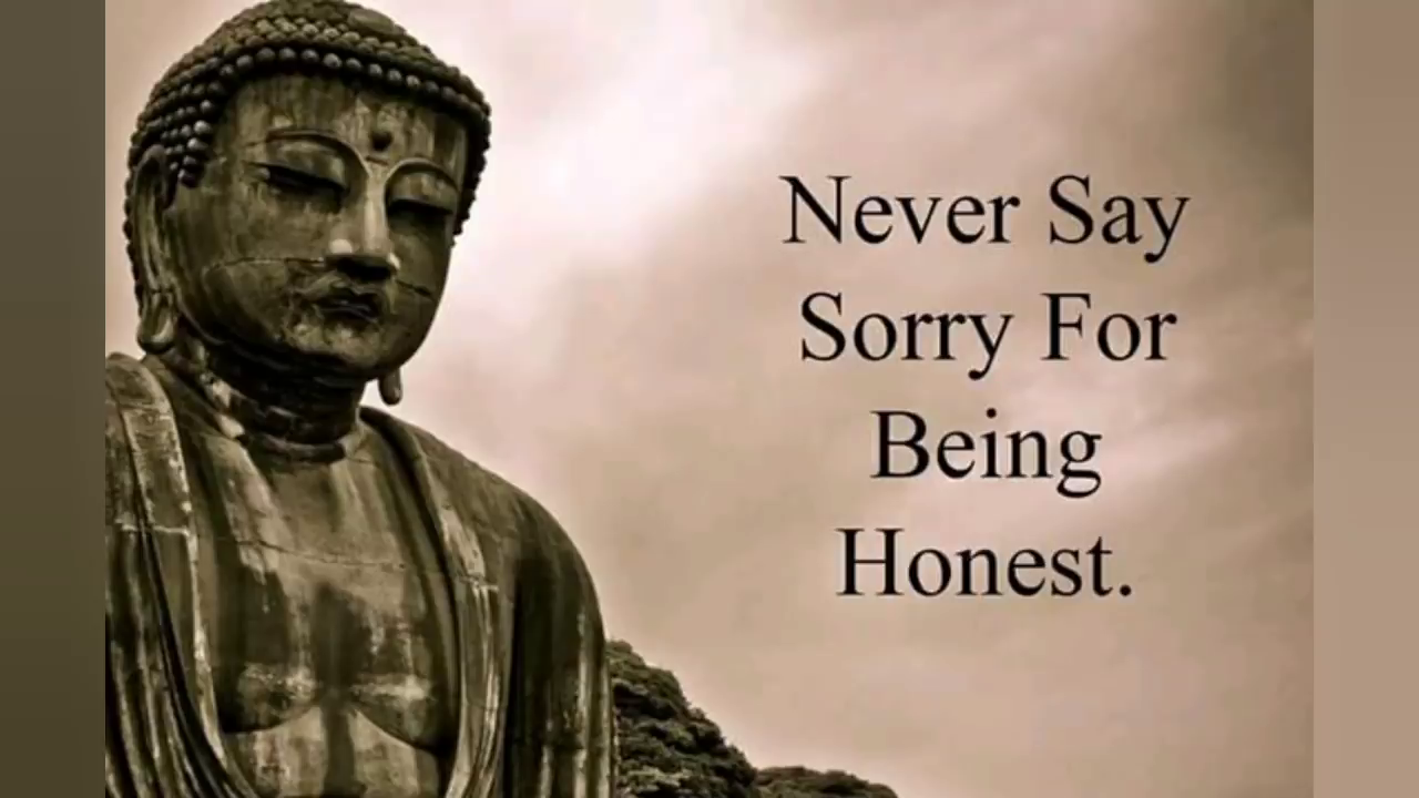 never-say-sorry-for-being-honest