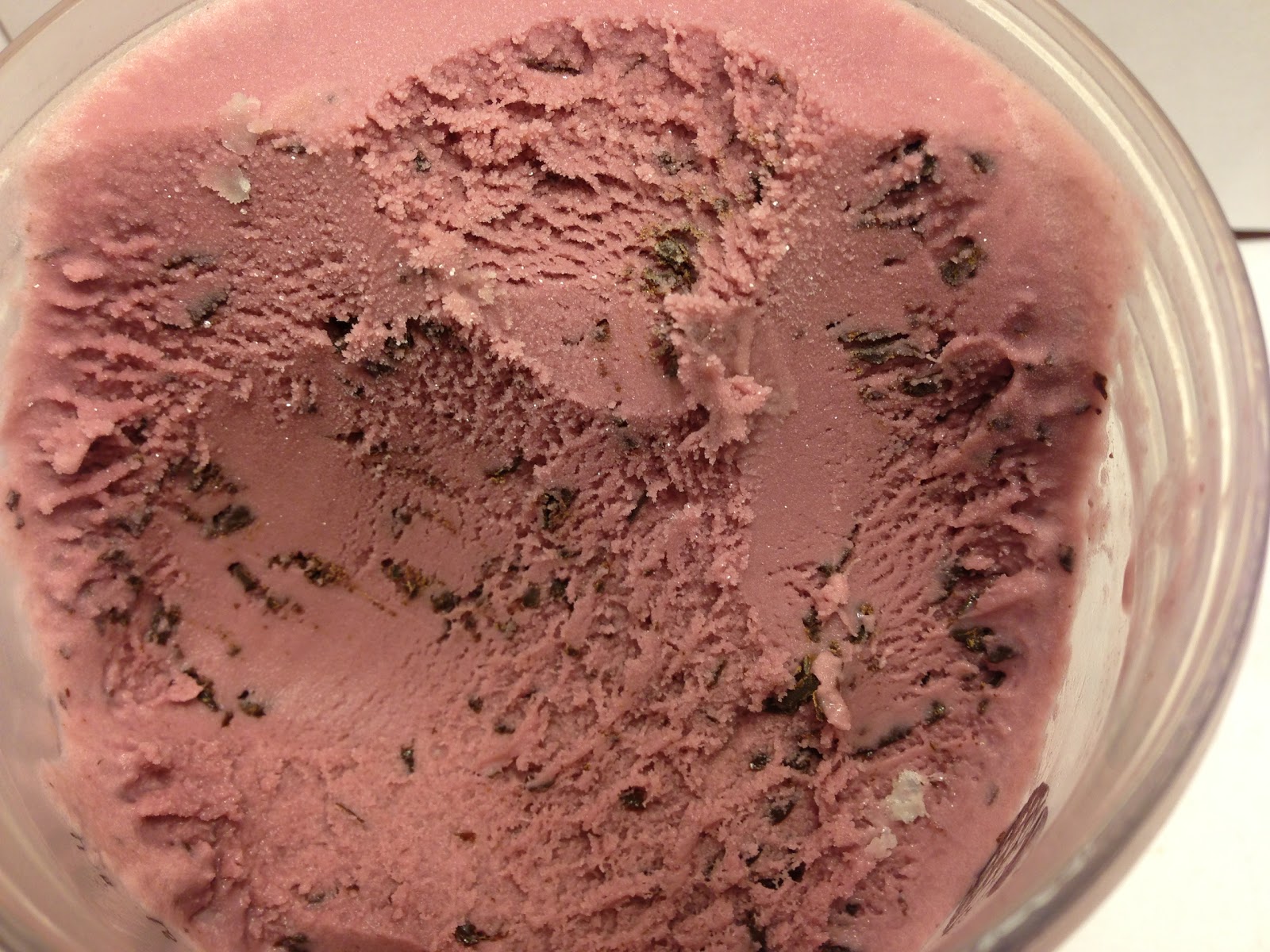 Crazy Food Dude: Review: Talenti Black Raspberry Chocolate Chip Gelato