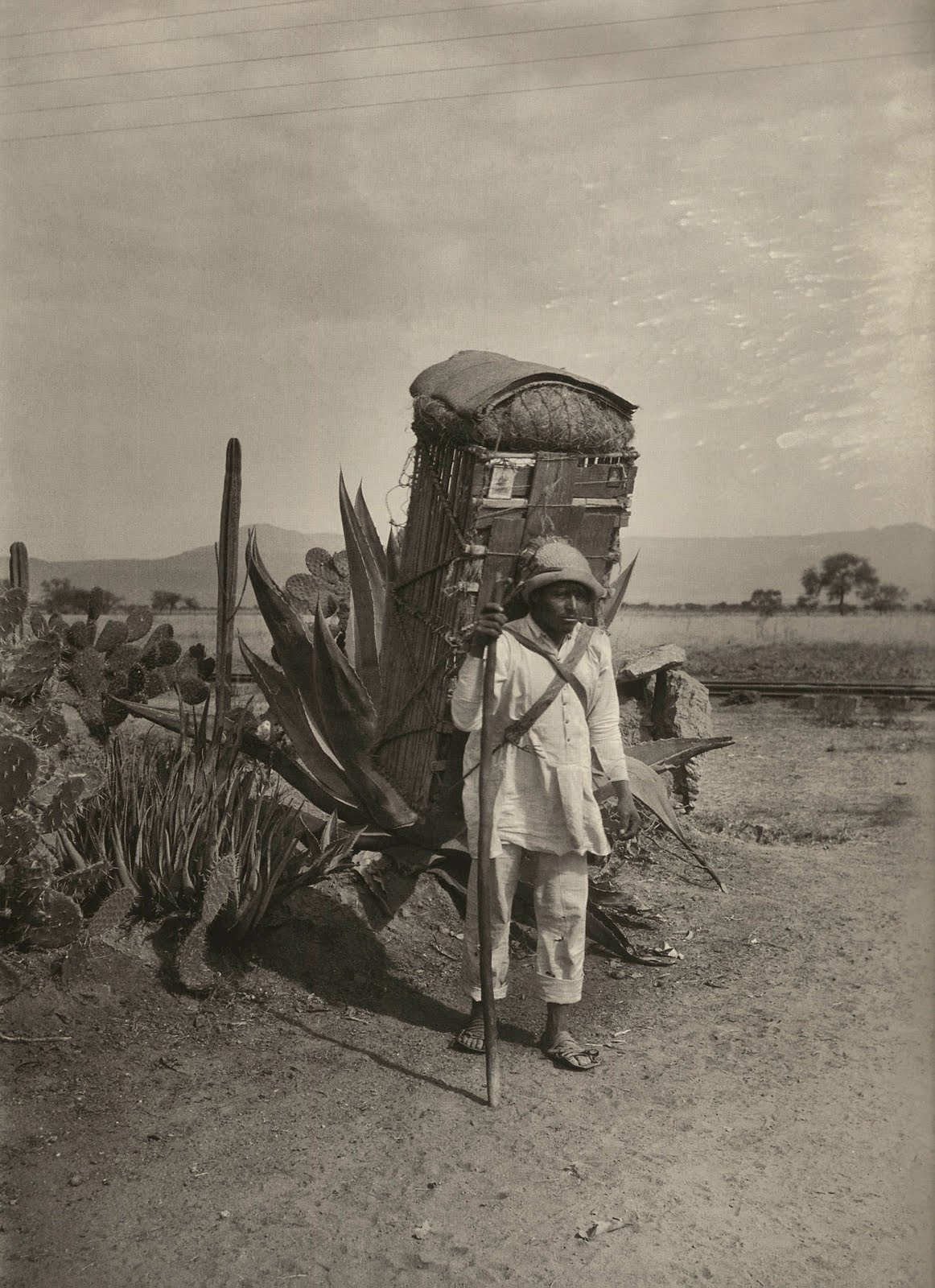 casa gregorio: Mecapalero