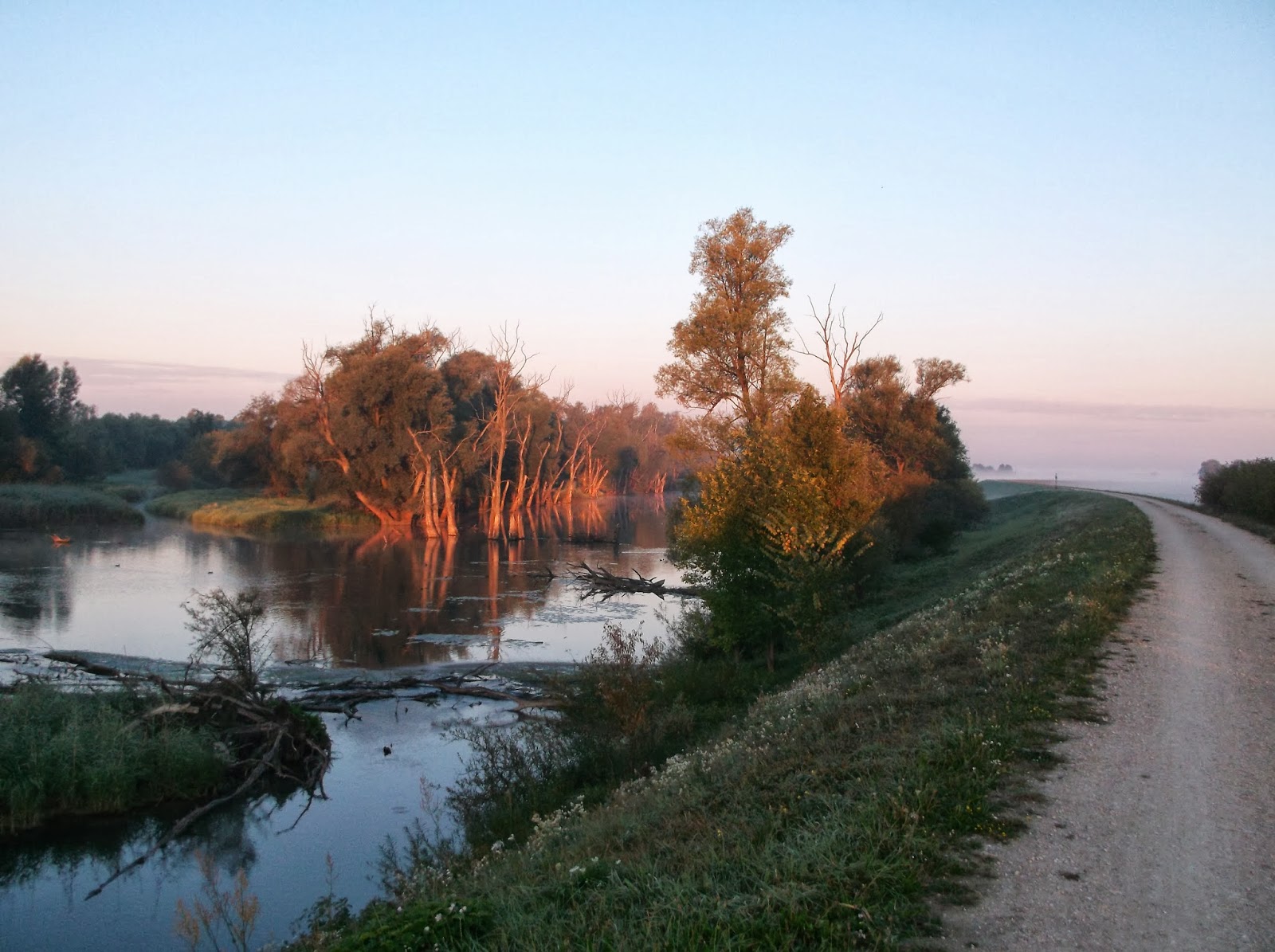 De Nantes à //Hui !Gaeb: La forêt noire