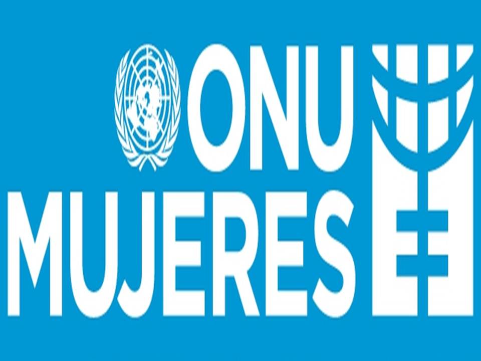 Panel Sin Fronteras: Convocatoria de ONU Mujeres