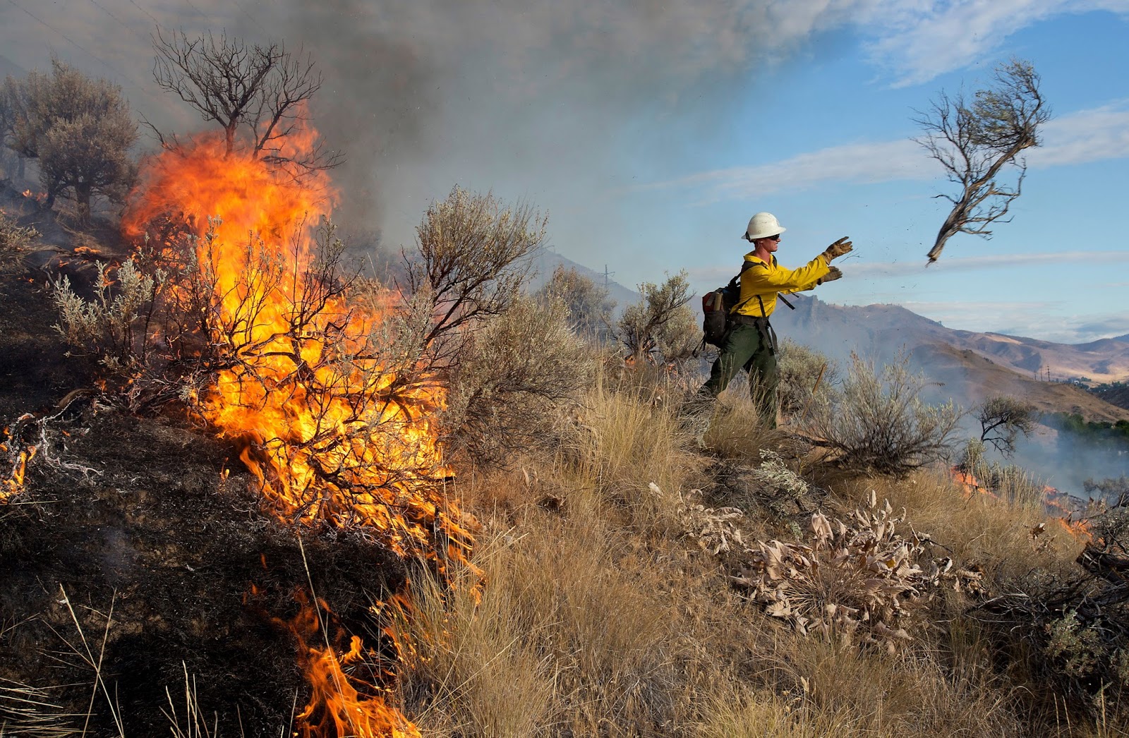 Cliff Mass Weather Blog: Most Weather-Related Wildland Firefigher ...