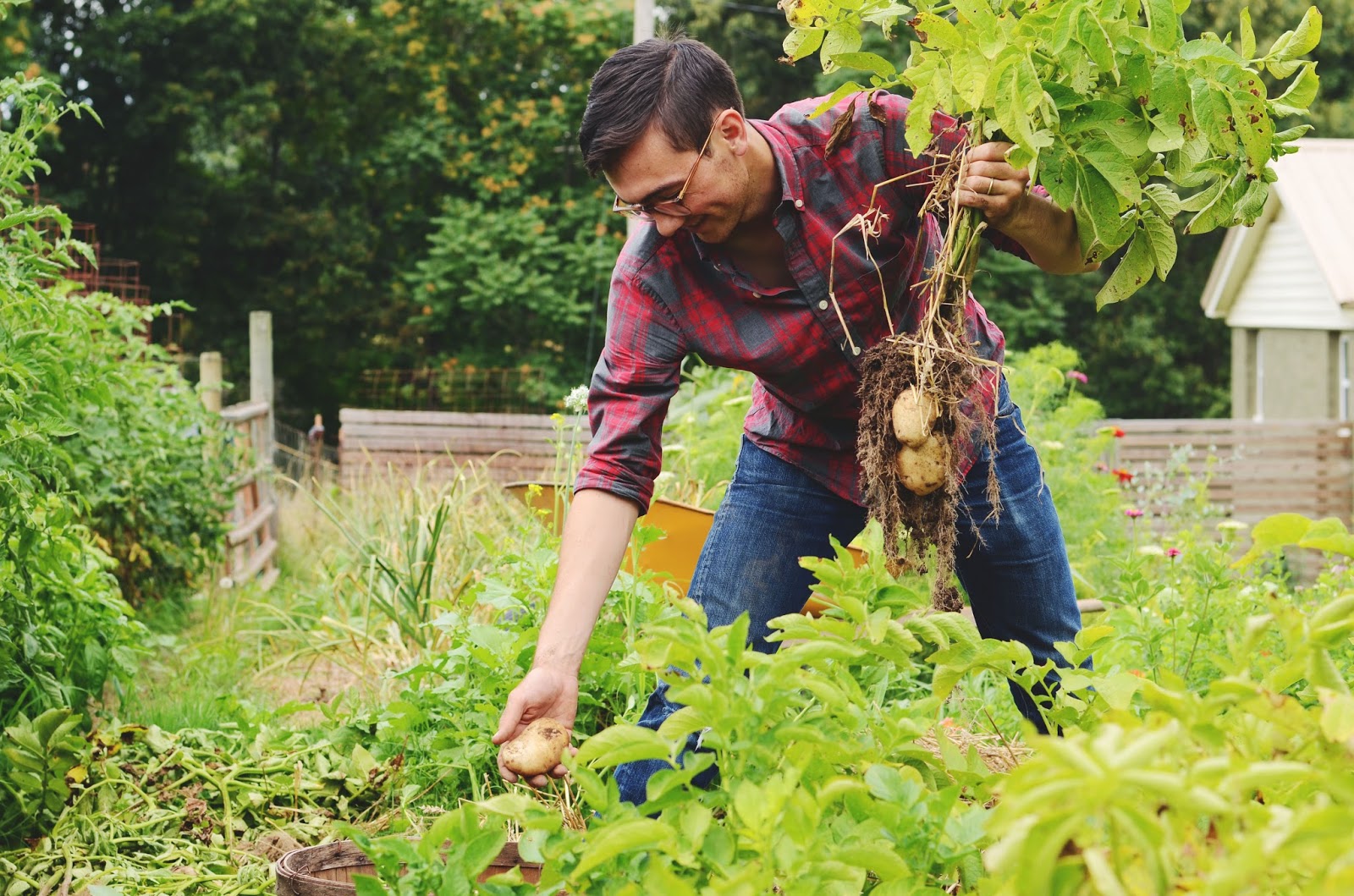 natalie creates: weekend garden happenings + a floral workshop!