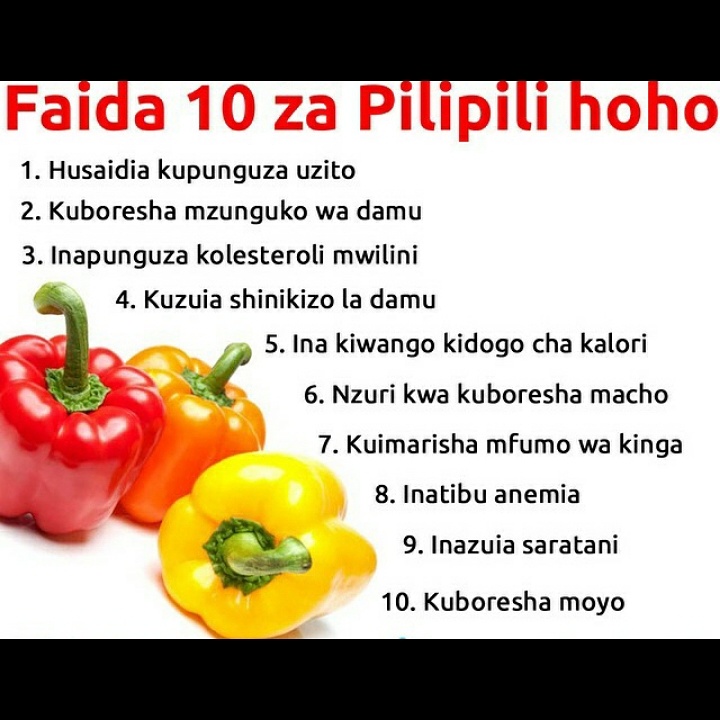 FURAHISHA_GOSPEL: FAIDA ZA MATUNDA MBALIMBALI MWILINI