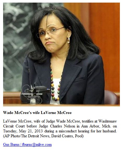 OIDV Project Of Michigan - Officer Involved Domestic Violence Project ...