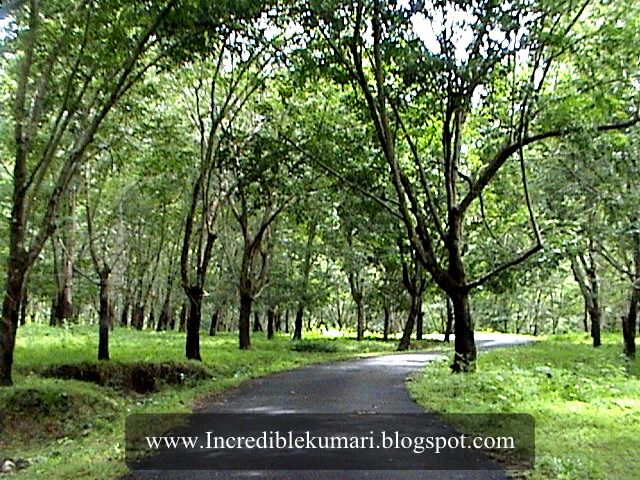 Exploring Kanyakumari: Kuttriyar Falls - 1