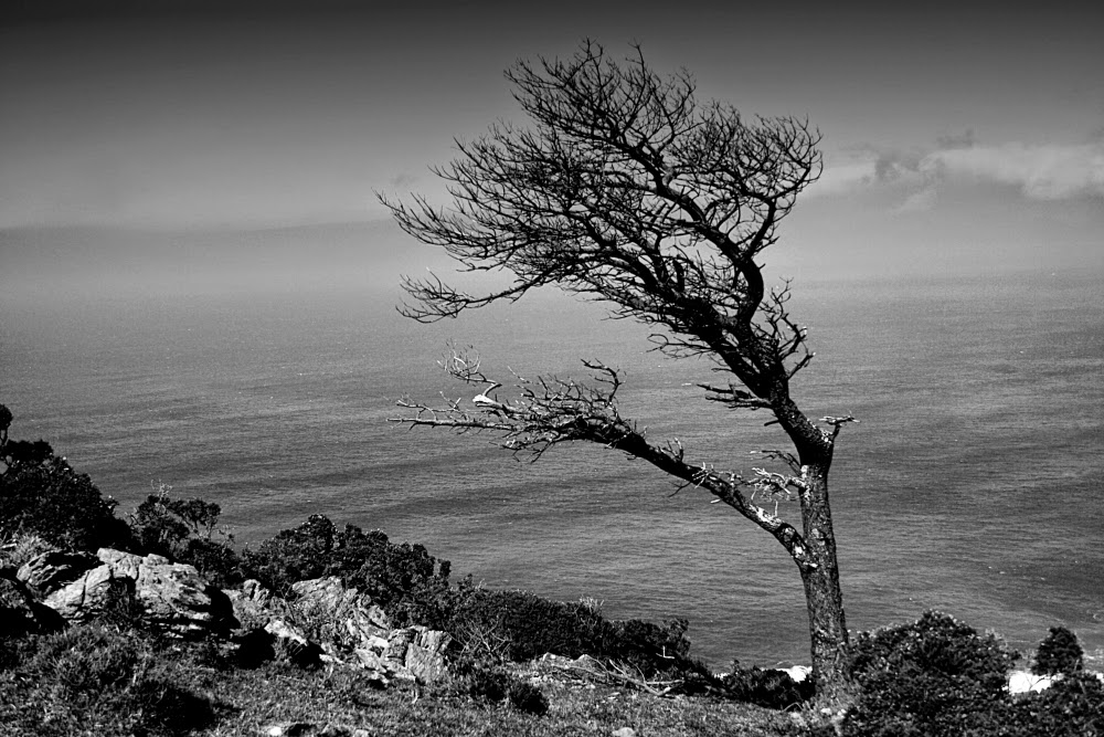 Fotos Artisticas Blanco Y Negro