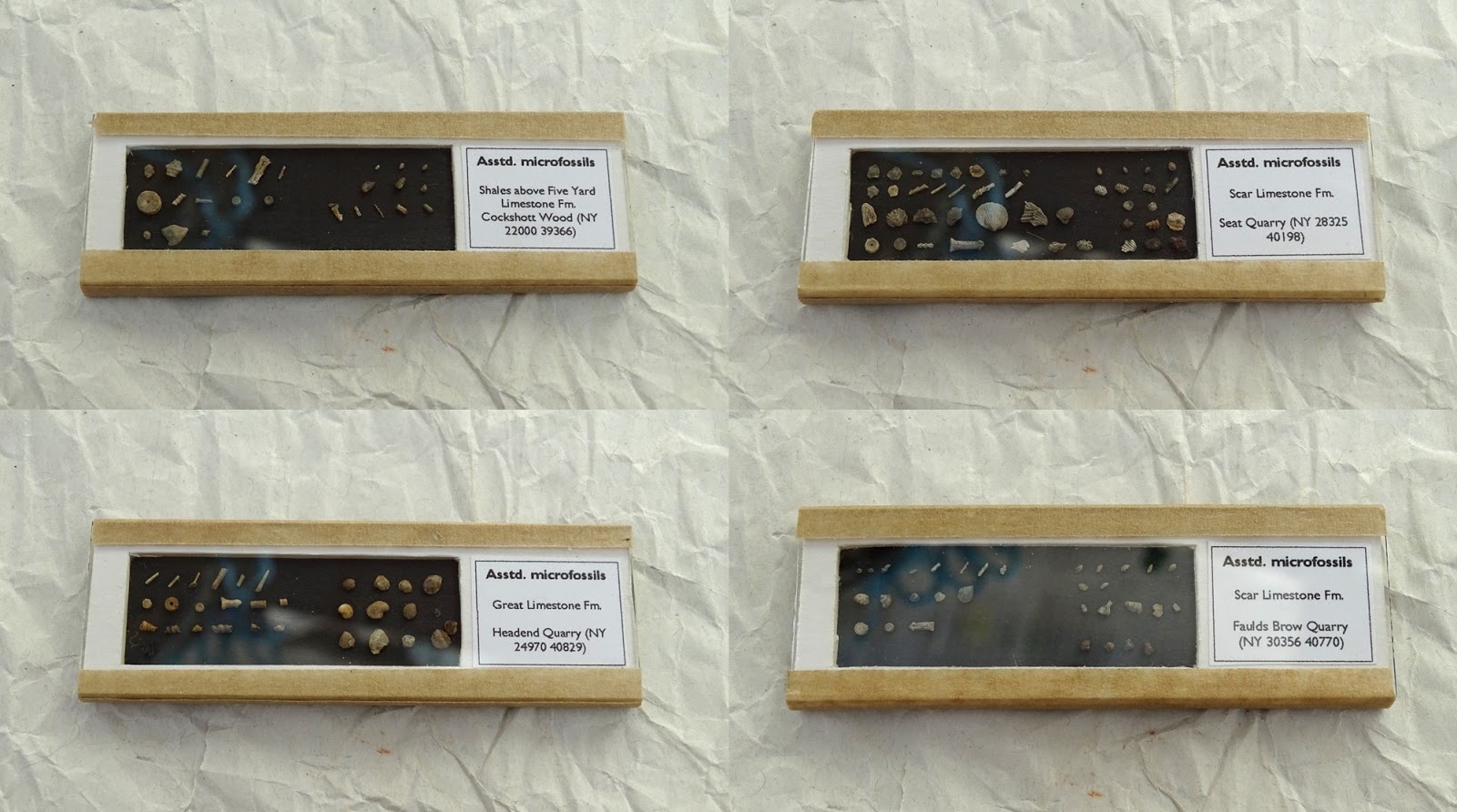 Microfossil Slides II : Making Slides