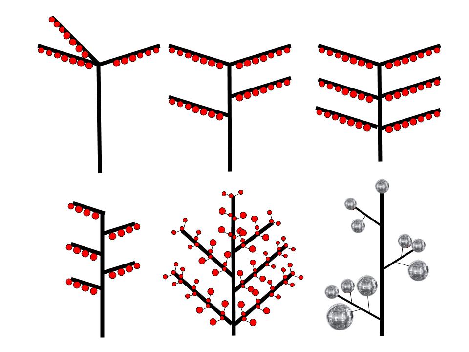 What's Growing in Colorado : The Grass of the Field