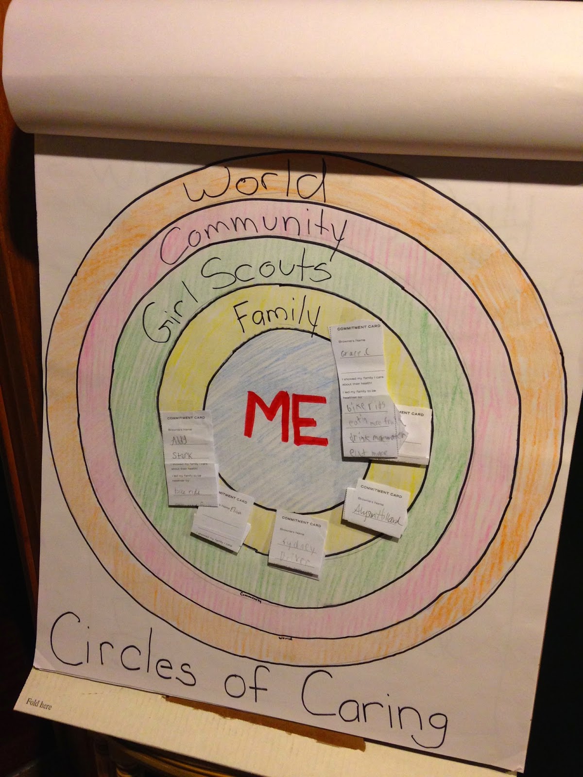 A Crafty Chick: Brownie Meeting 15: Connecting and Taking Action