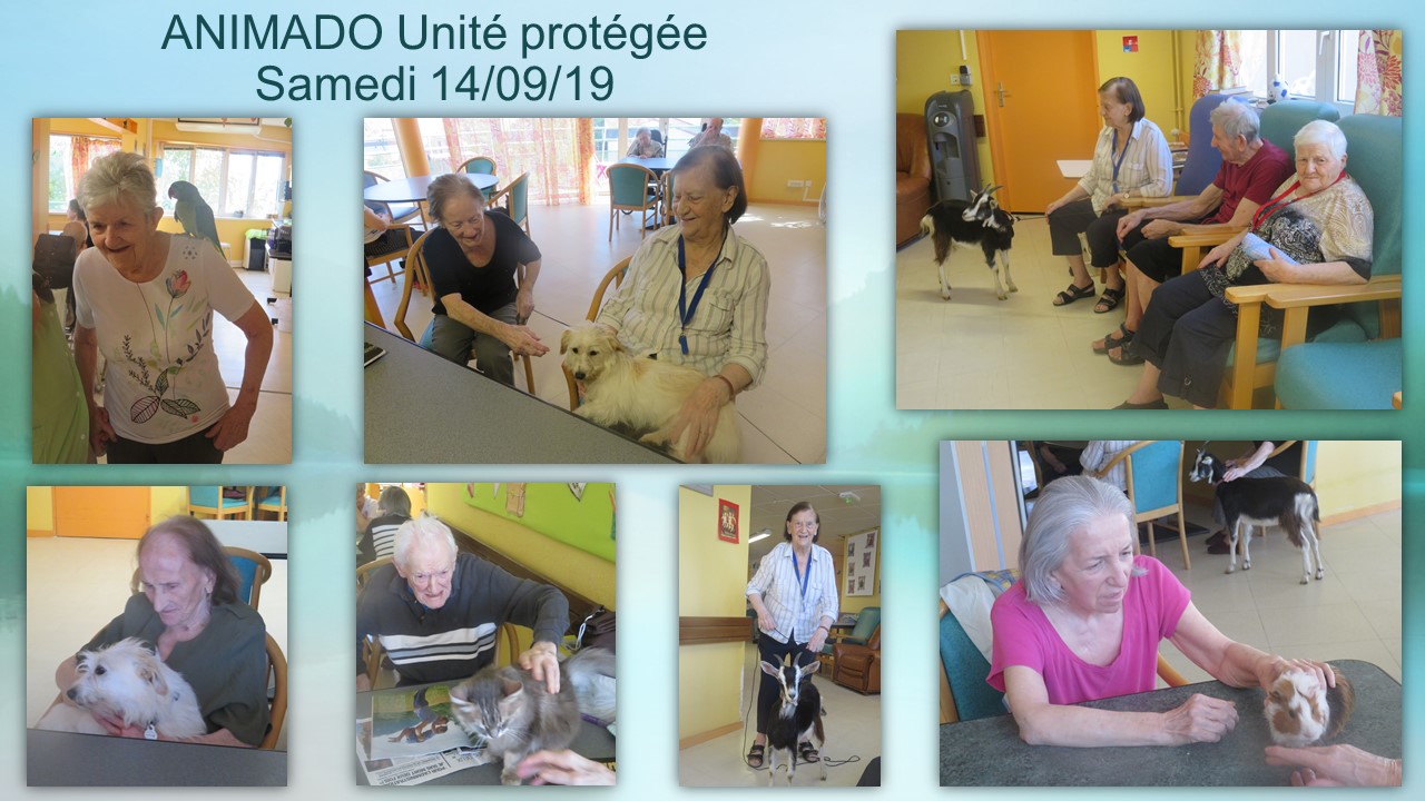 Animation EHPAD 63670: Visite des animaux "ANIMADO"