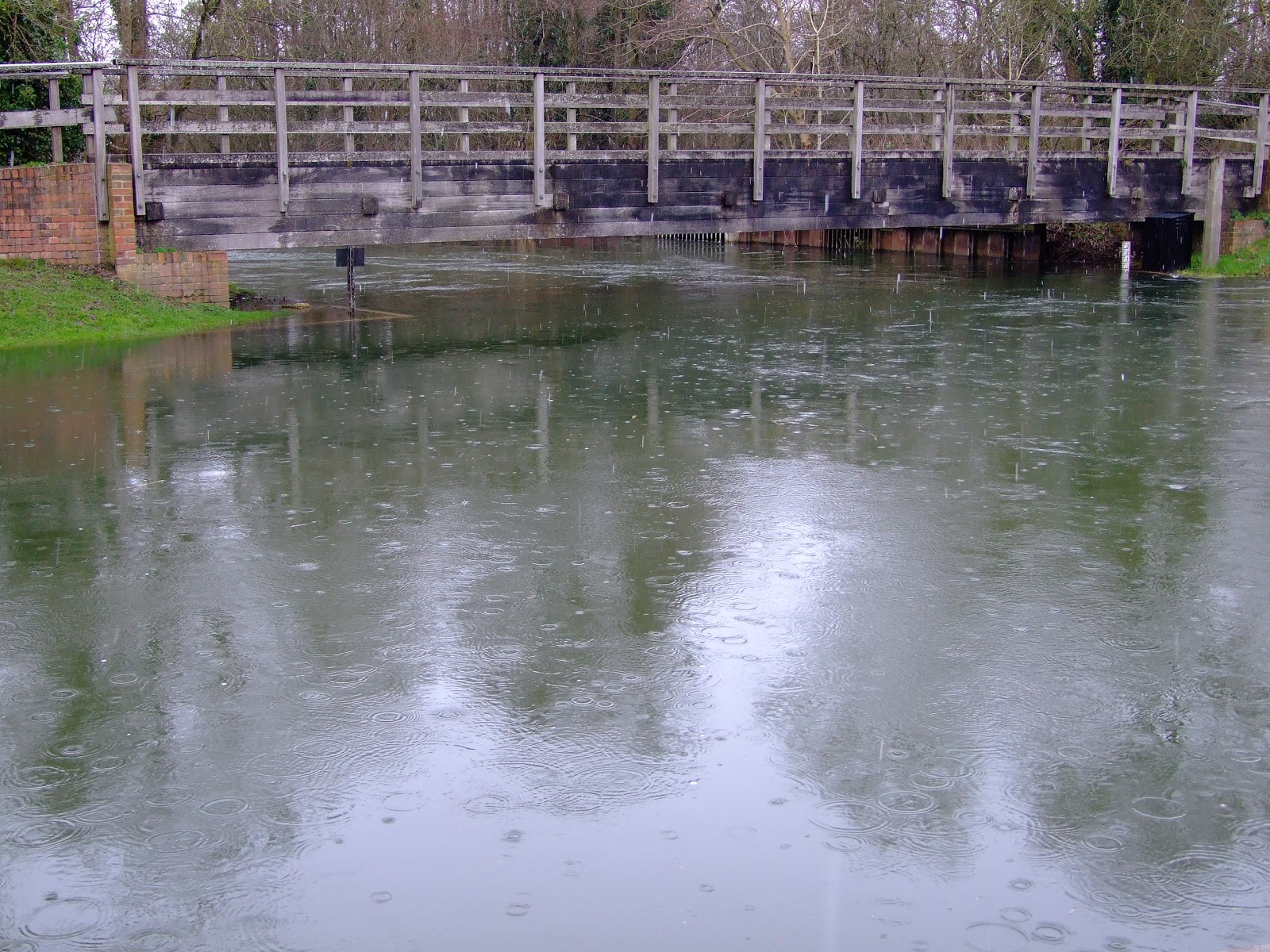 Canoeing and Kayaking on The River Kennet: New year high levels for the ...