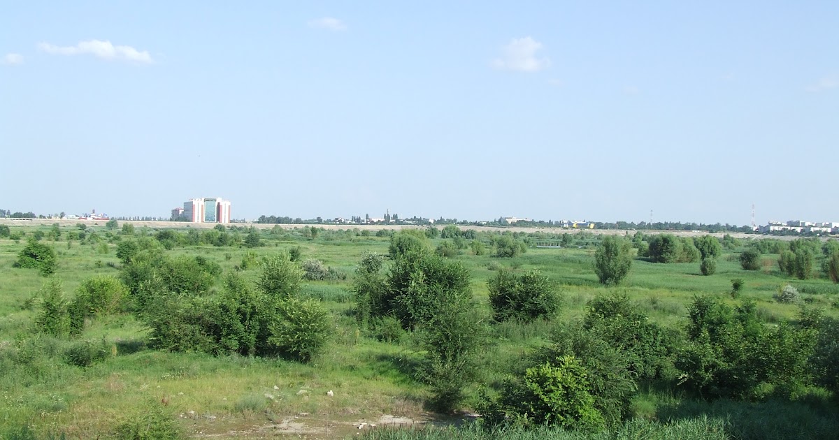 Timp liber: Lacul Vacaresti