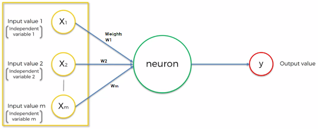 Artificial Neural Network Explained