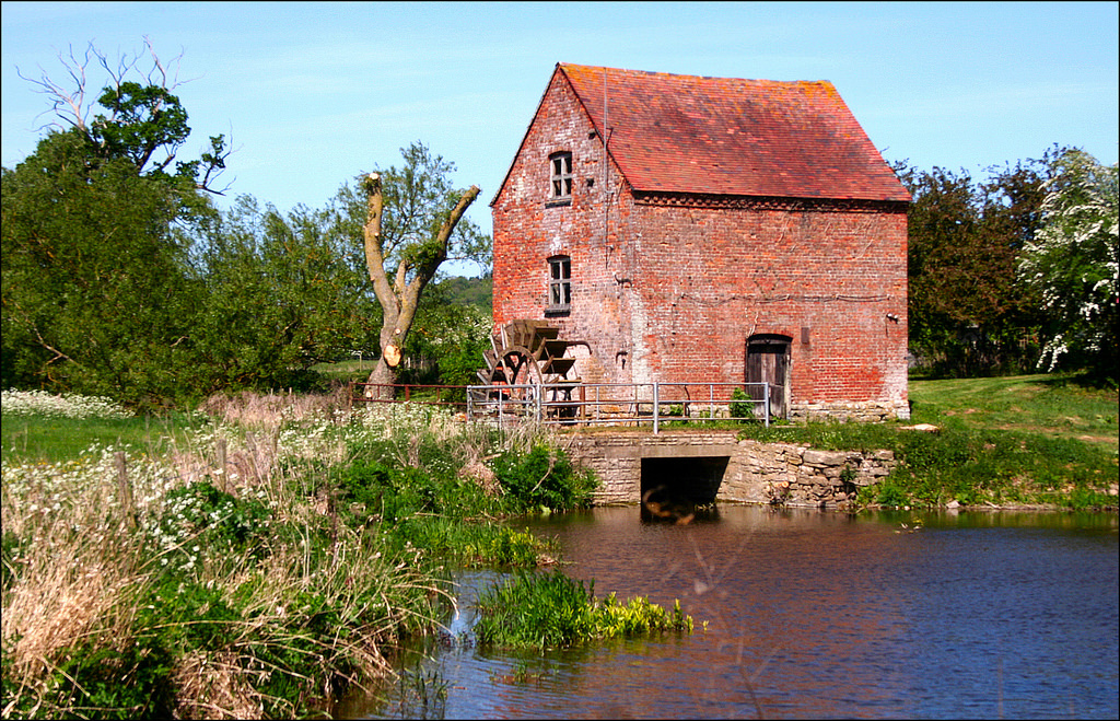 Shadows in the Mist: The Quest for a Historical King Arthur: THE ...