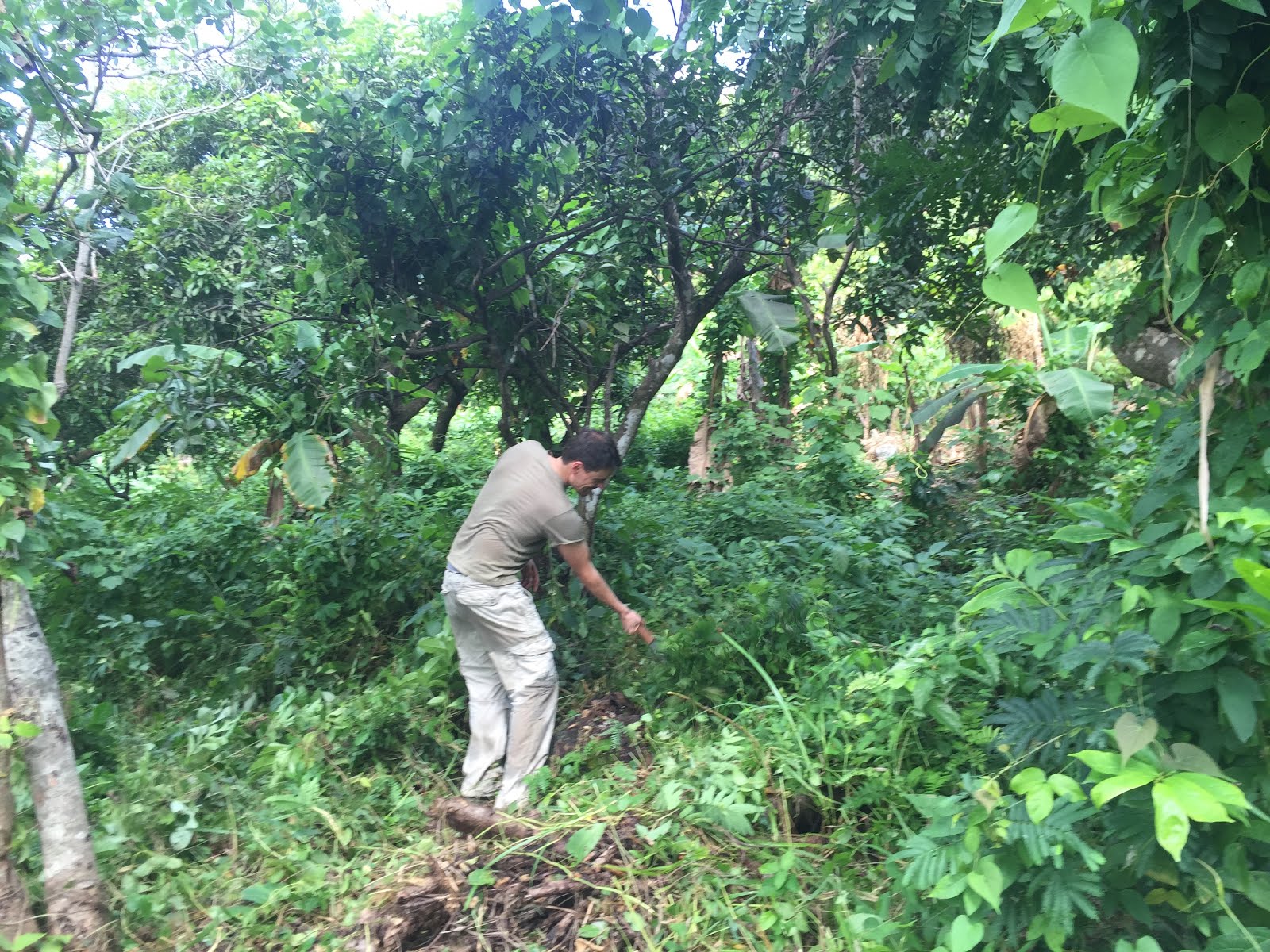 The traditional outdoor activity: Working the land