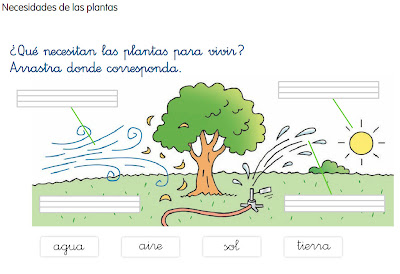 Crecer soñando: ¿QUÉ NECESITAN LAS PLANTAS PARA VIVIR?