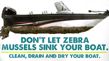 ADK Forever Wild: 2015-10-04