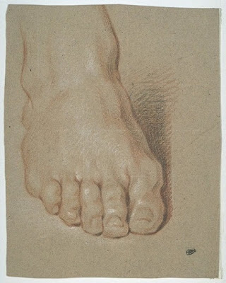 Spencer Alley: European Study Drawings of Isolated Appendages