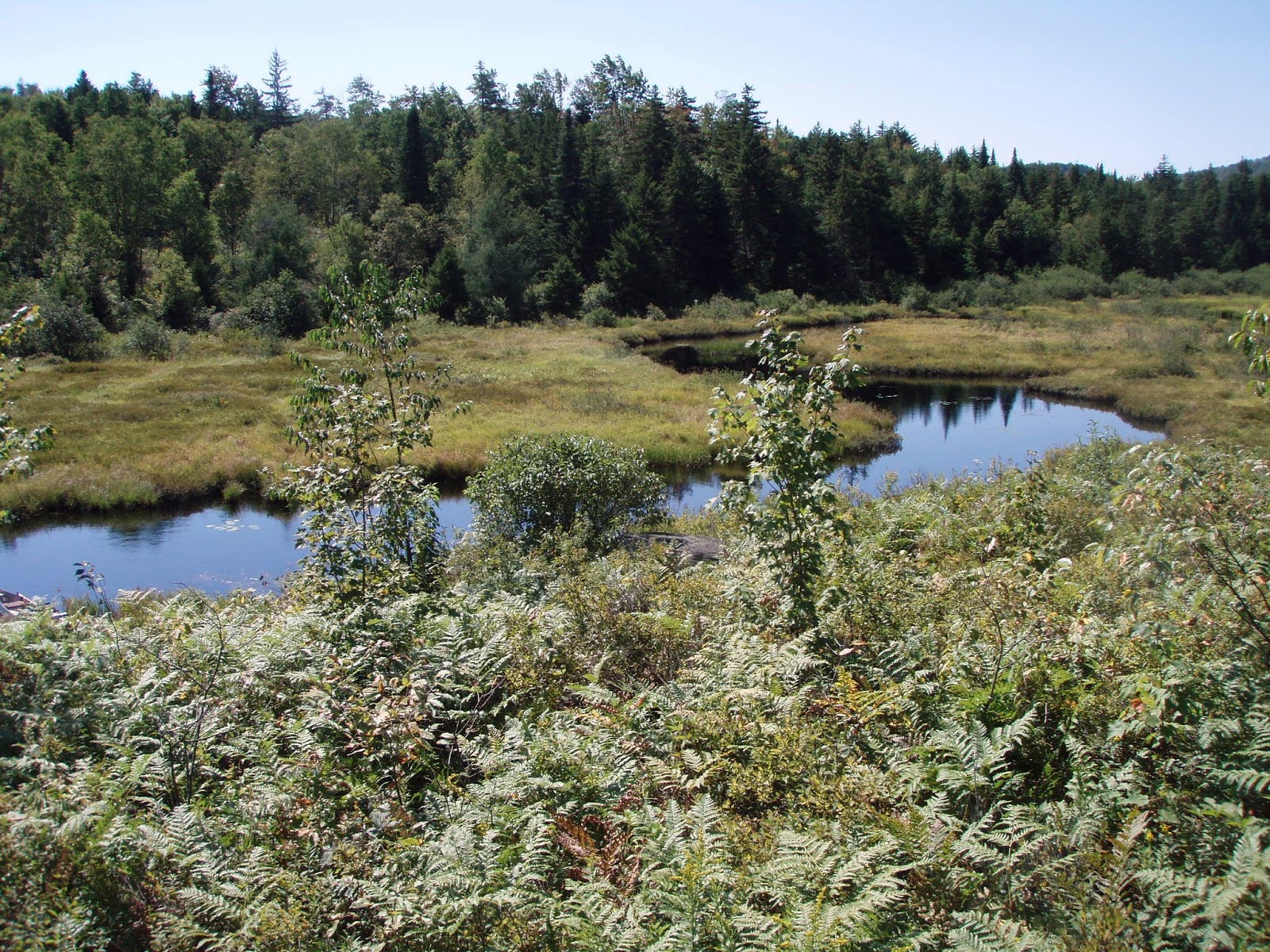 LAKE LILA>LOWS LAKE>OSWEGATCHIE RIVER thru trip.
