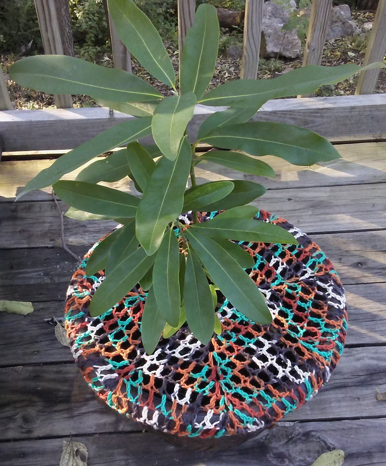 Secrets From The Heart - Empowered Life: Squirrel Away Crochet Net for ...