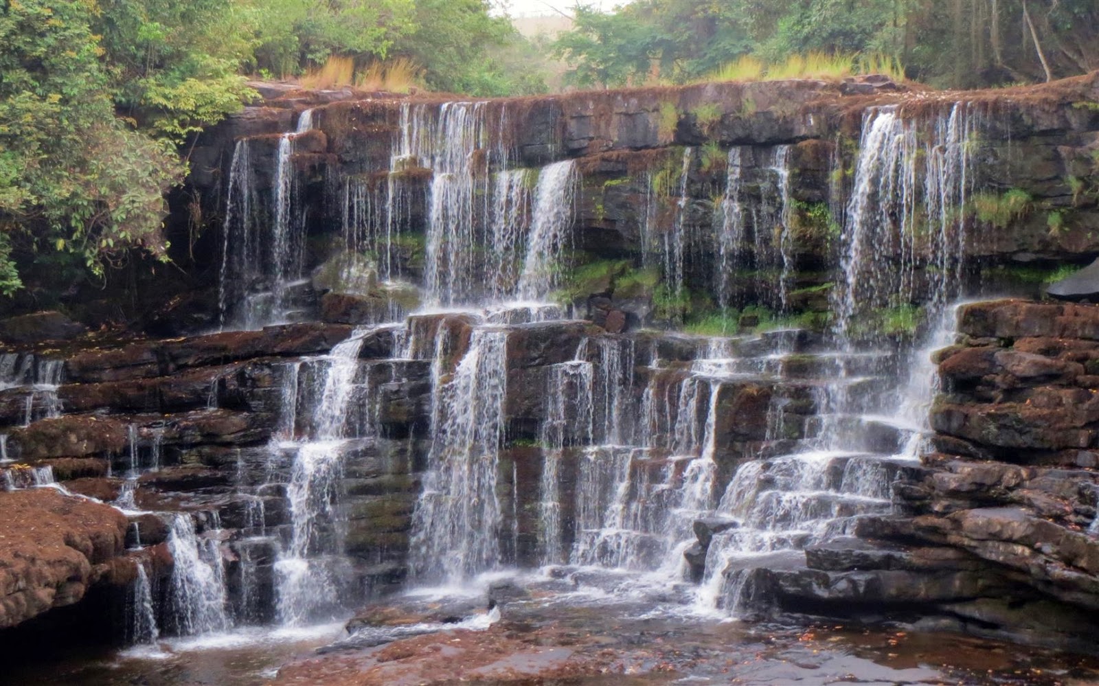 Bill's Excellent Adventures: Guinea