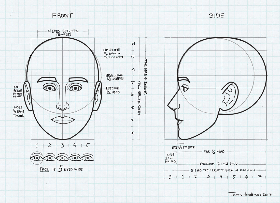 Draw Speak: Head General Model