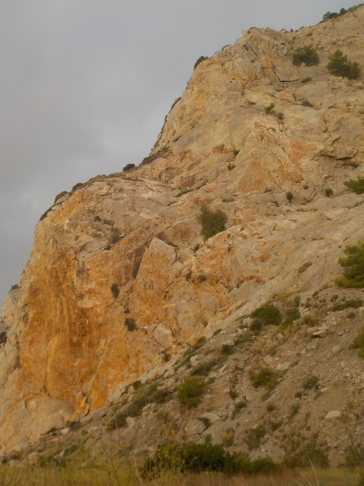 Els Cinc Peus al Gat.: Ascensió Penya Segat de la Falconera "Via Morgan ...