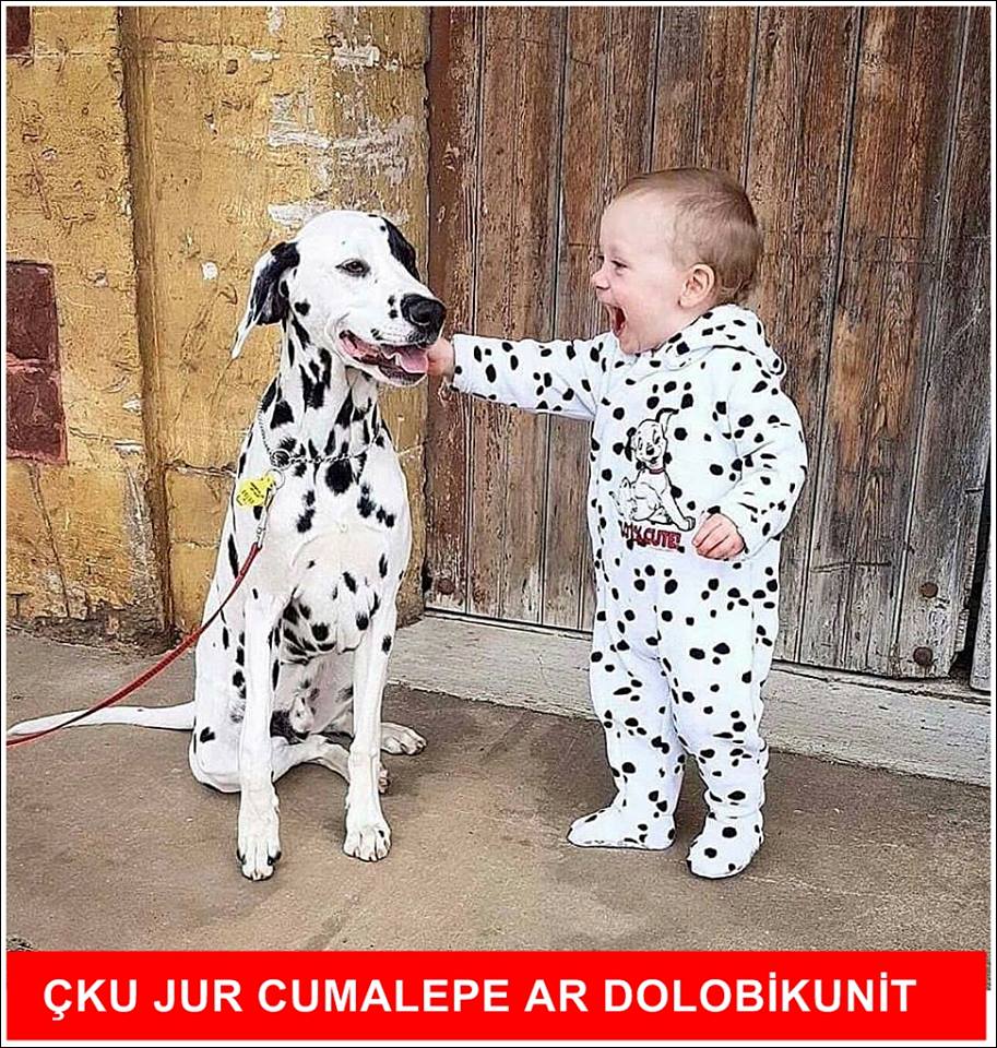 ARHAVİ ARKABİ HACİŞİ: Lazca