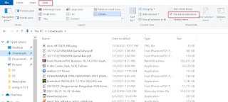 2 Cara Menampilkan Ekstensi File Di Windows 10 - NEWBIE CODE NEWS ...