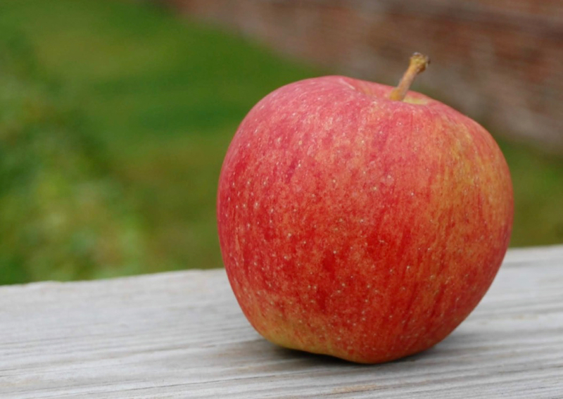 Tompkins King - Adam's Apples