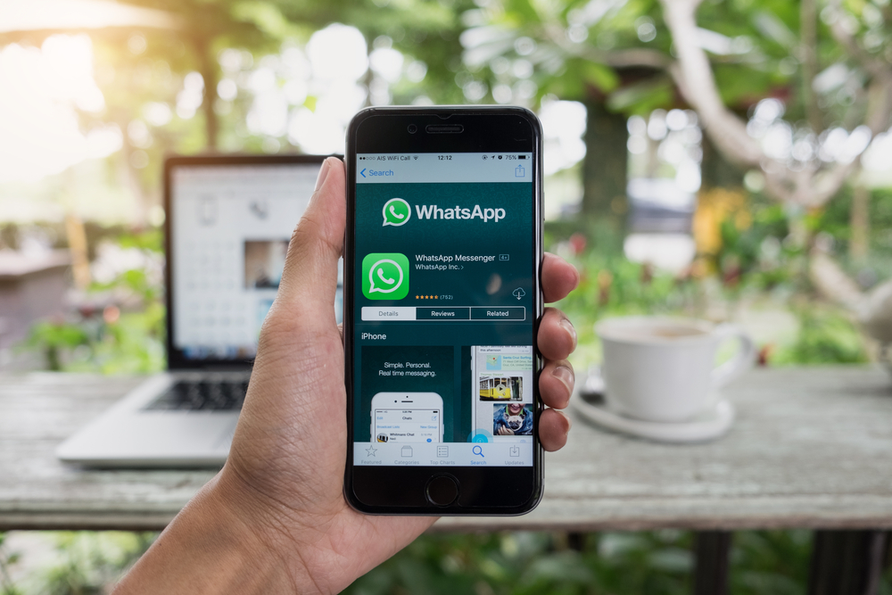 Gets Picture-in-Picture WhatsApp New Feature for All Users - Myhelprides